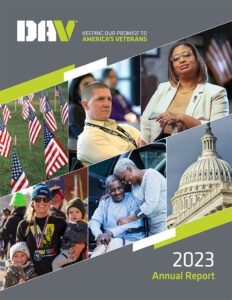 Read the DAV annual report