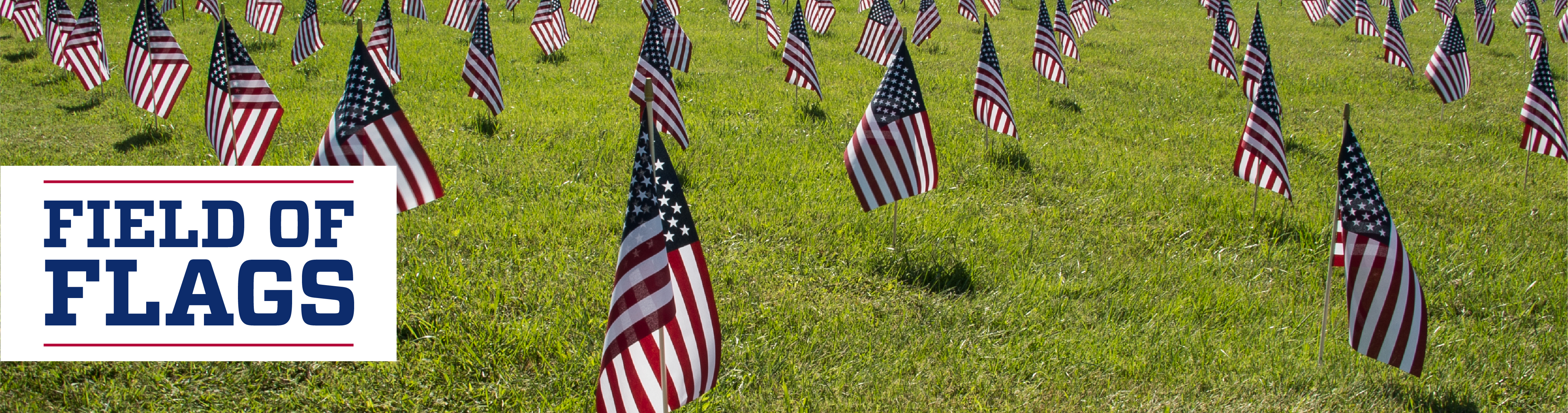 DAV : Disabled American Veterans Charity - FIND, DONATE, JOIN and VOLUNTEER to HELP Disabled ...