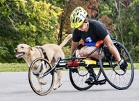 When one door closes, many more open - DAV