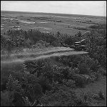 DAV urges administration to move forward with presumptive diseases ...