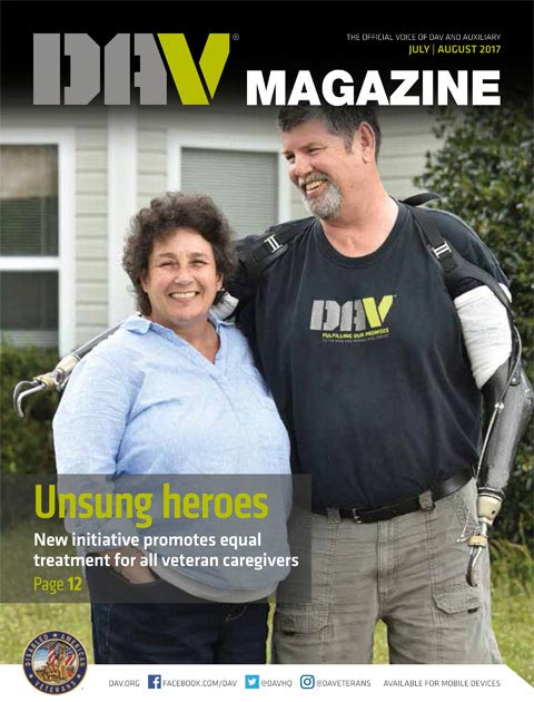 Safeguarding service programs - DAV